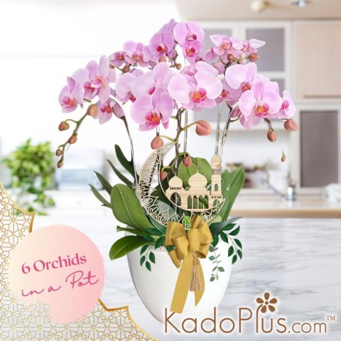 Beli Rangkaian Bunga Lebaran: Harmony Online 2025 | KadoPlus